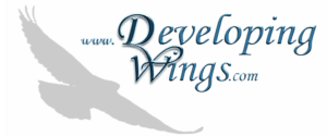 Developing Wings – Creating Connections